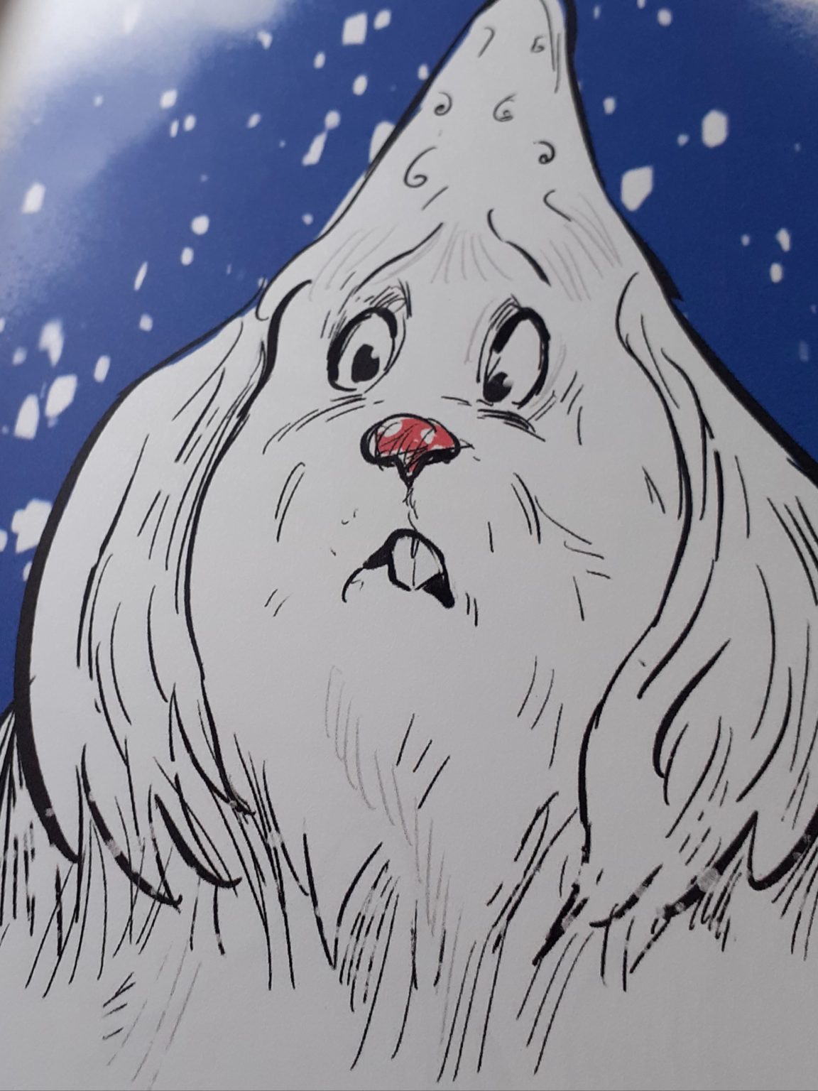 The Dorp rescue(children's book review)
