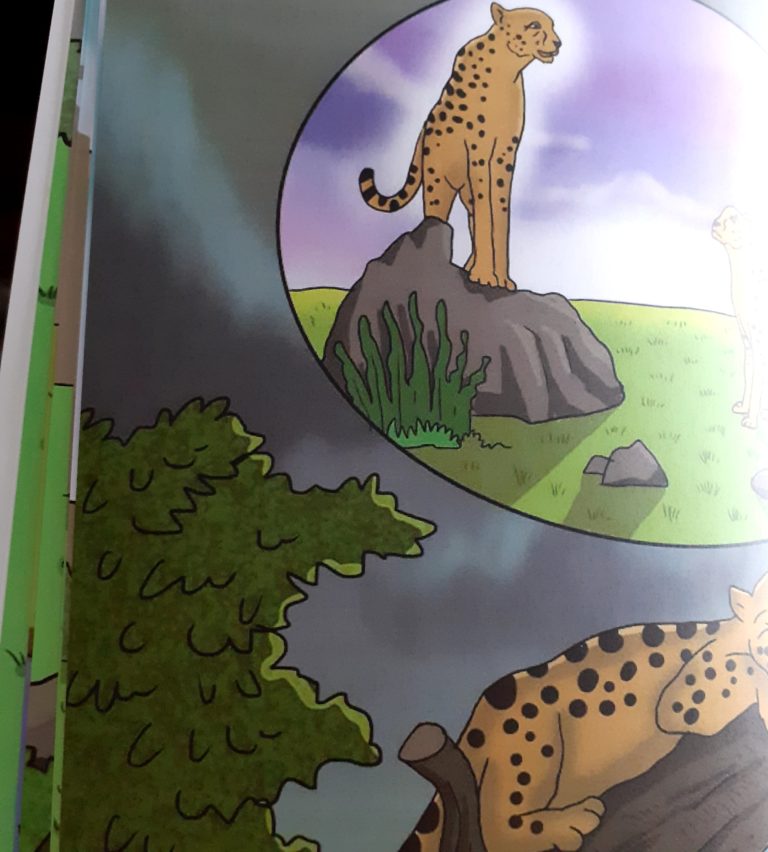Chuck the cheetah: children's book review