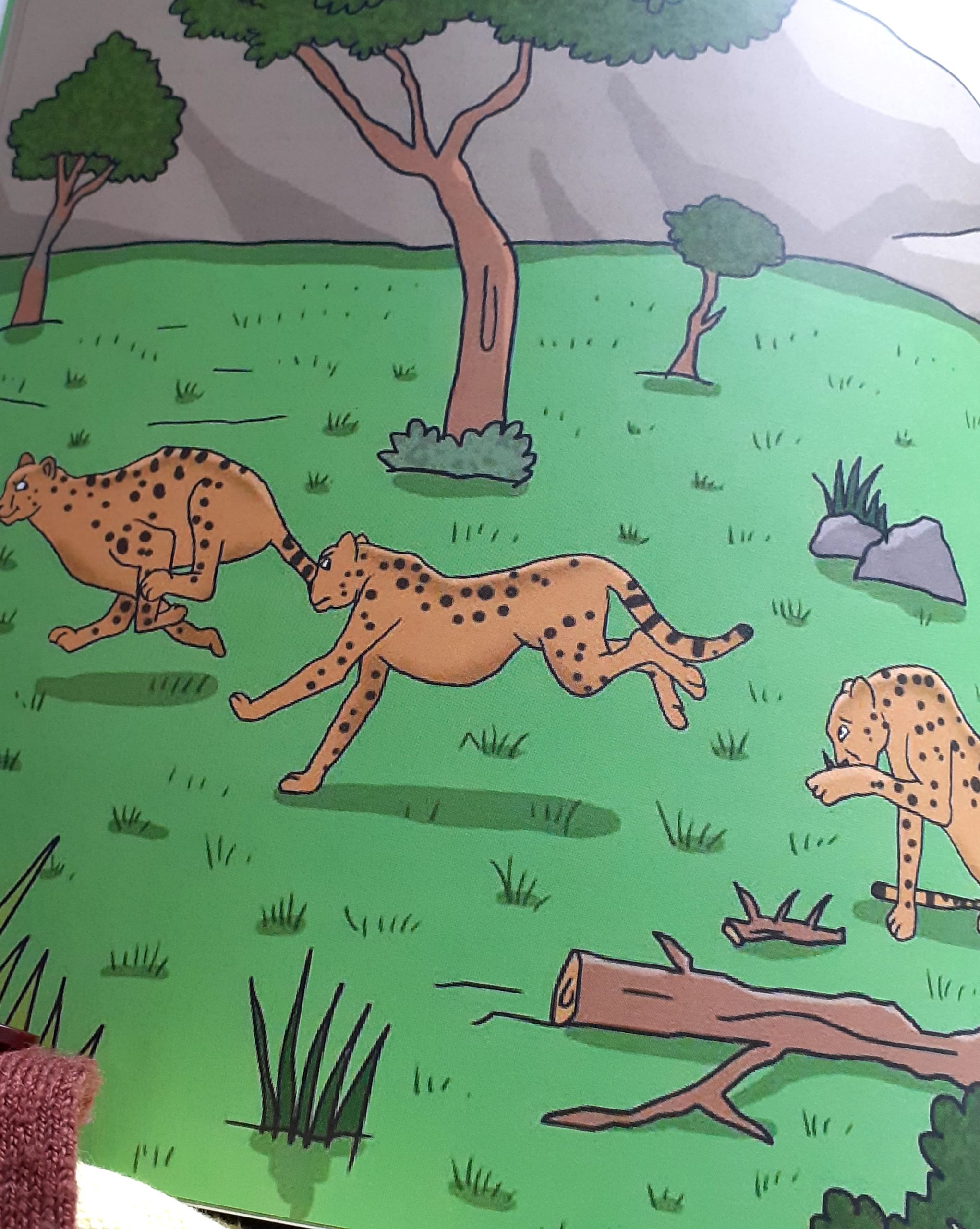 Chuck the cheetah: children's book review