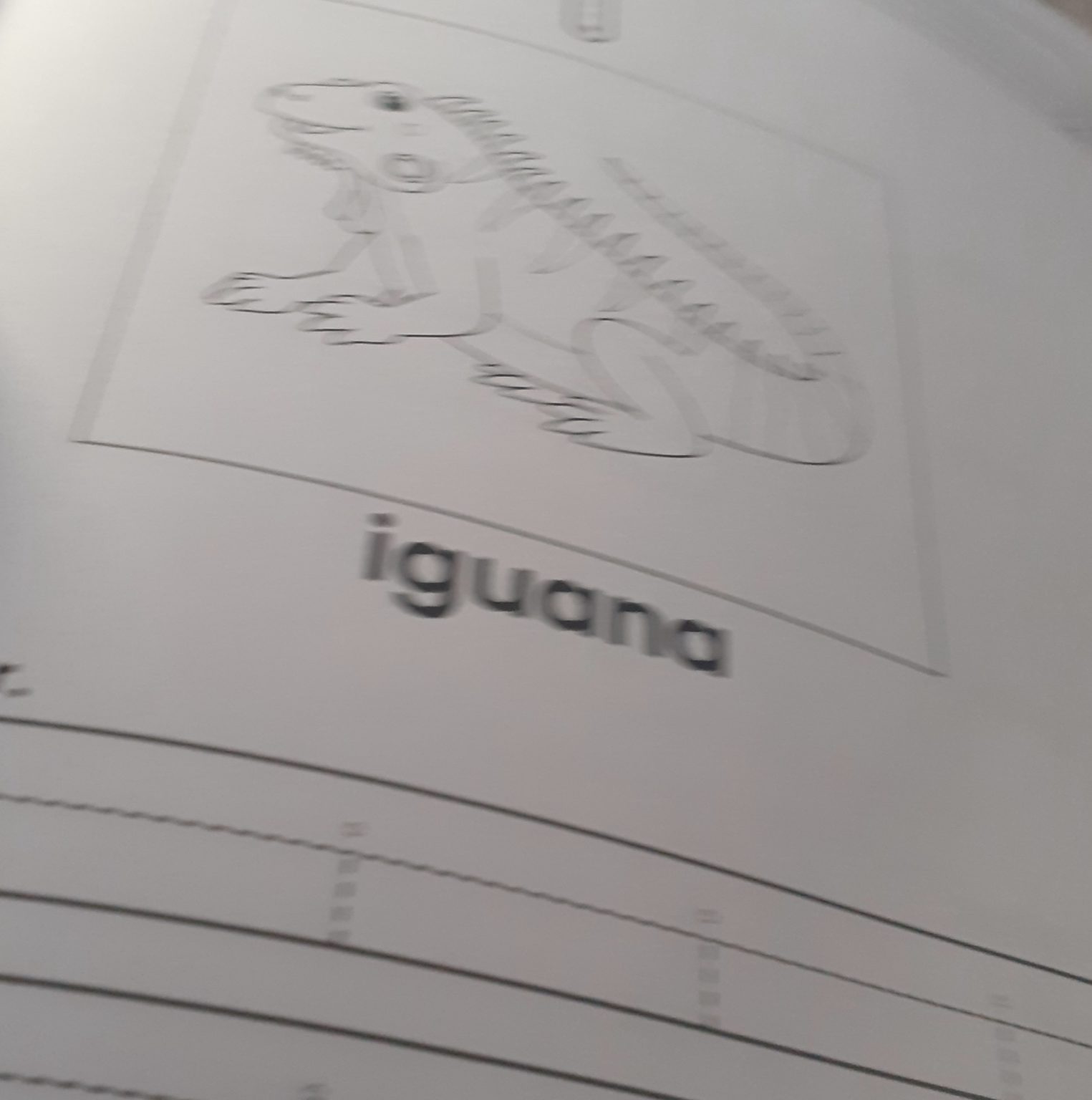 My first phonic colouring book Initial Letter sounds; children's book ...